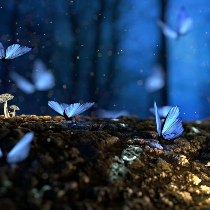 THE FLIGHT OF THE SCHMETTERLING | DANGOLOID