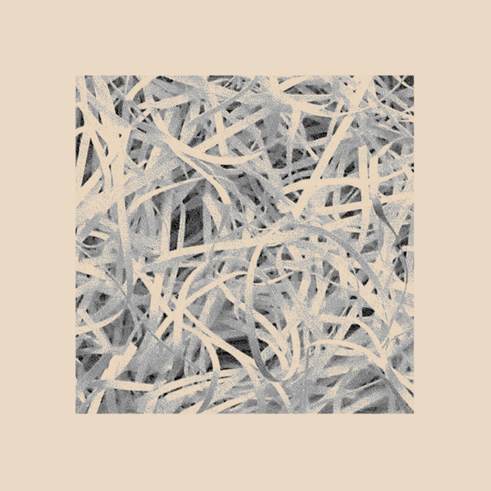 Paper Wounds | Paper Wounds