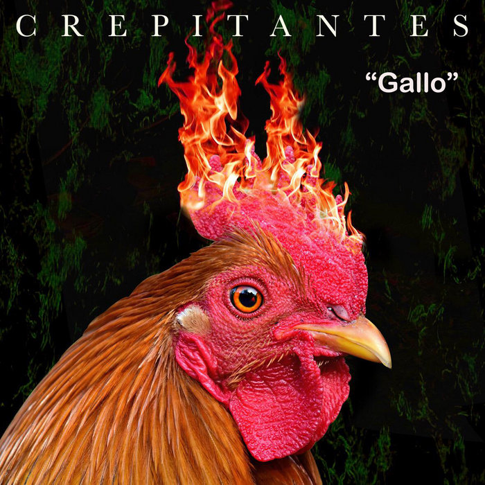 Gallo | Crepitantes