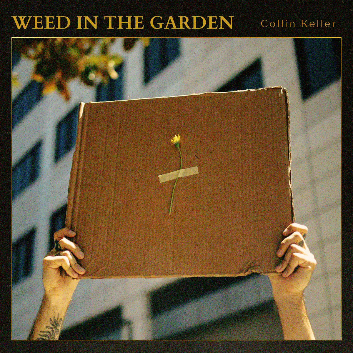 Weed In The Garden | Collin Keller