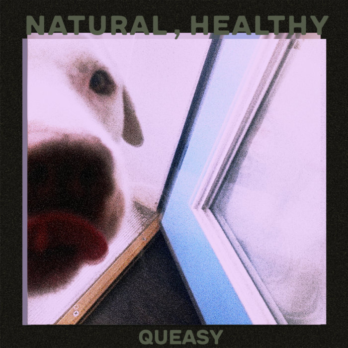 Natural, Healthy | Queasy