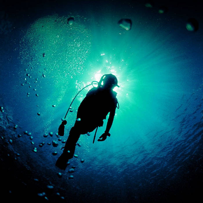 The Diver | 𝑨𝒅𝒆𝒑𝒕𝒖𝒔 𝑴𝒆𝒄𝒉𝒂𝒏𝒊𝒄𝒖𝒔