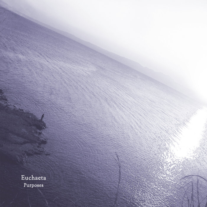 Purposes | Euchaeta