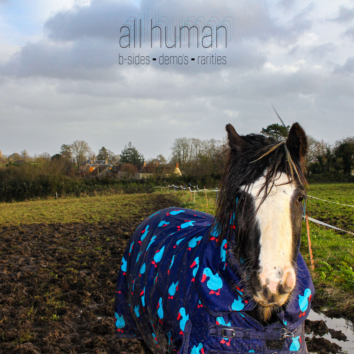 All Human: B-Sides - Demos - Rarities | Mark Mathews
