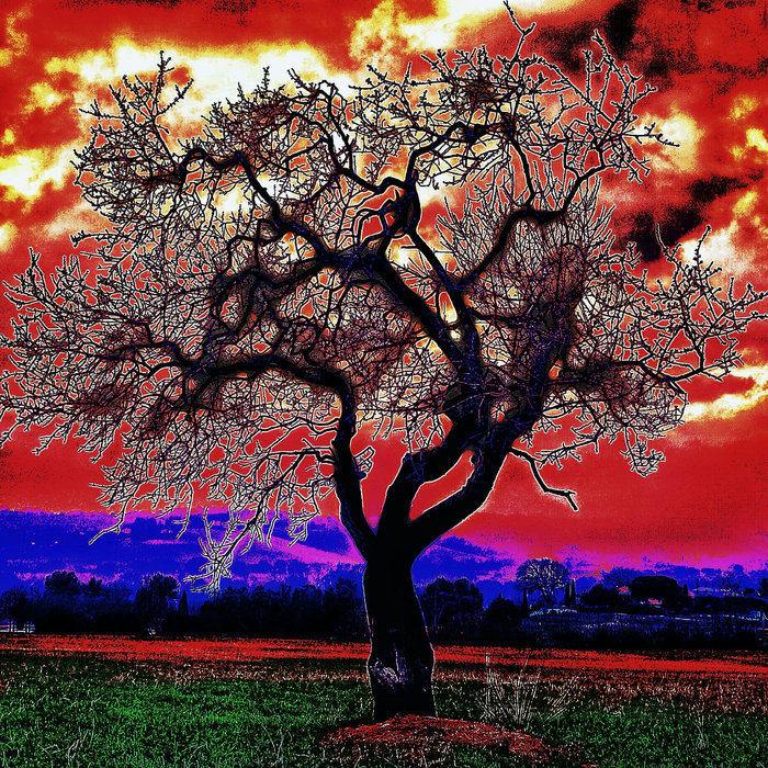 The Waking Tree EP | Synoptic Vision