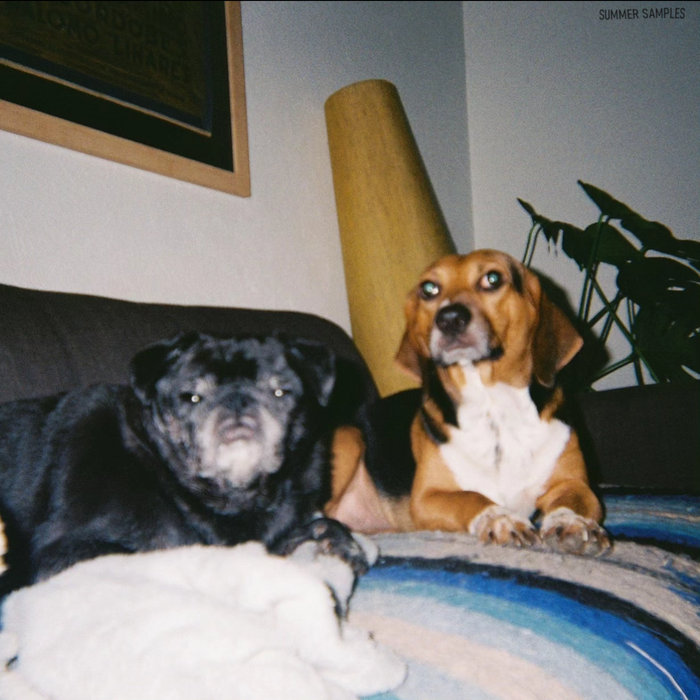 Summer Samples | Isaac David