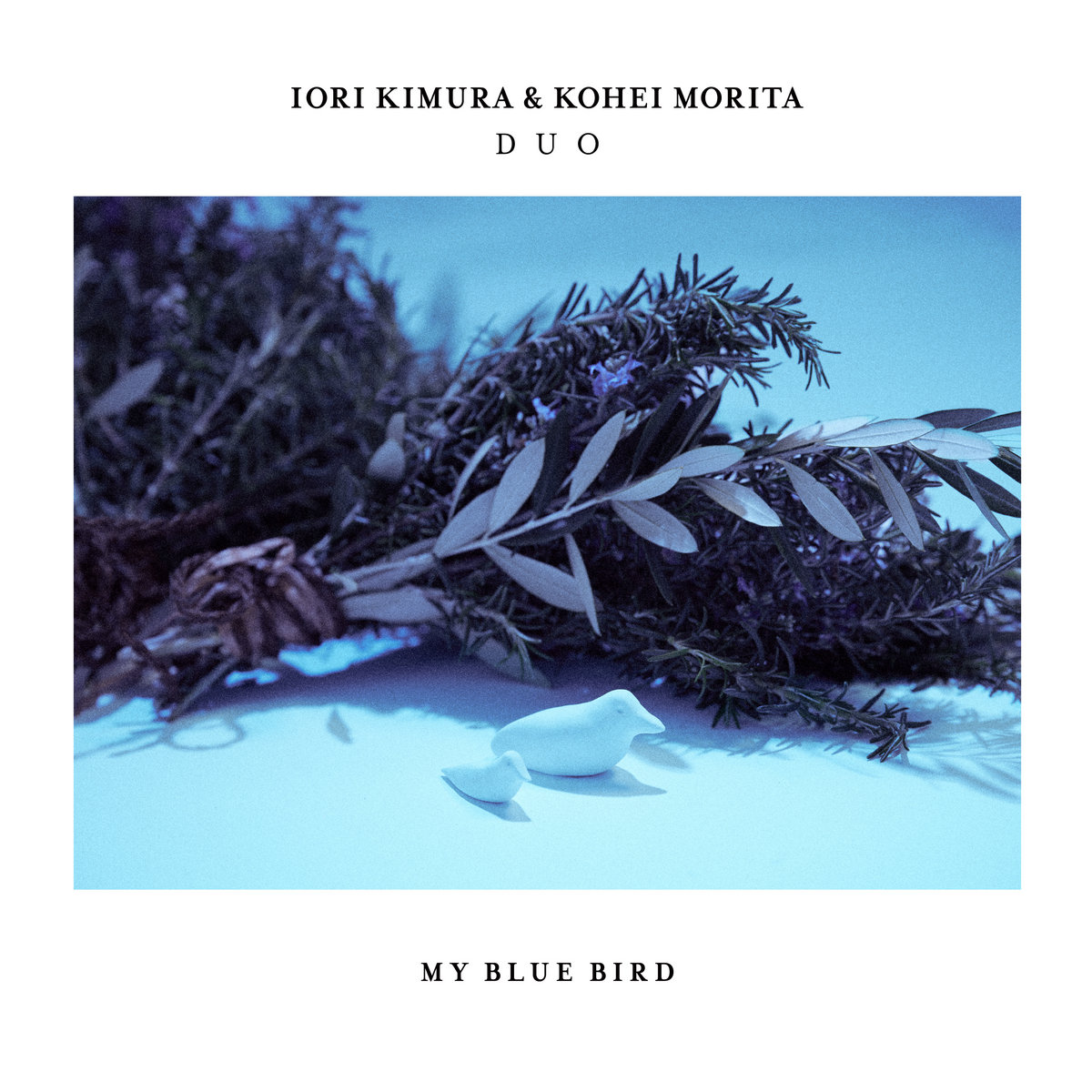 My Blue Bird | Iori Kimura & Kohei Morita Duo