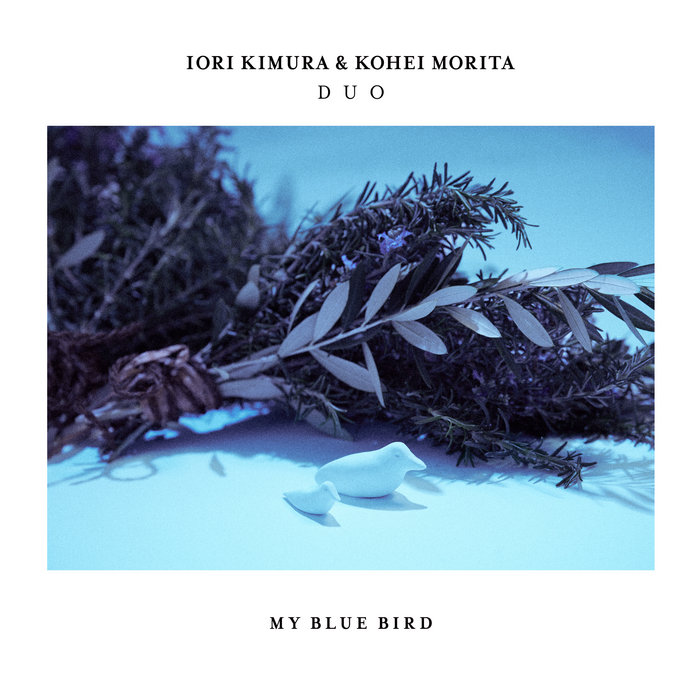 My Blue Bird | Iori Kimura & Kohei Morita Duo