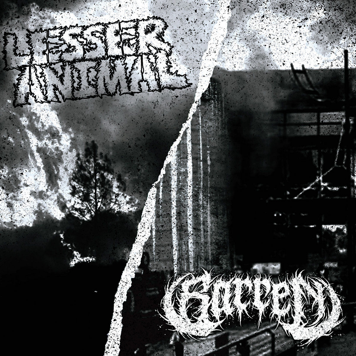 Split w LESSER ANIMAL | Barren