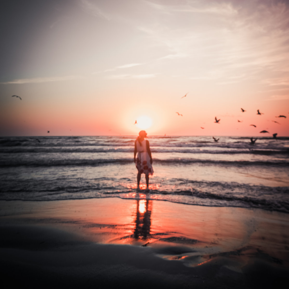 Robert Antal - A Sea Of Dubs | Robert Antal