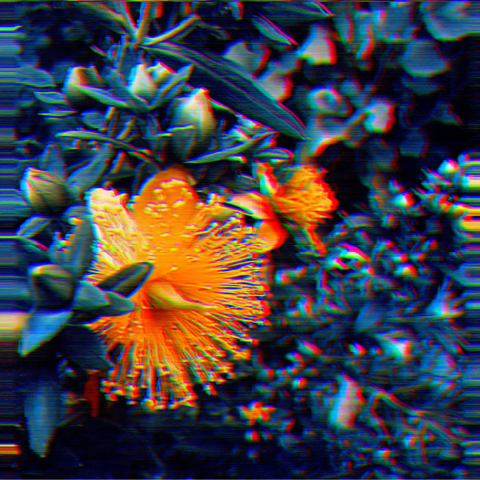 HD Analog | channel 71