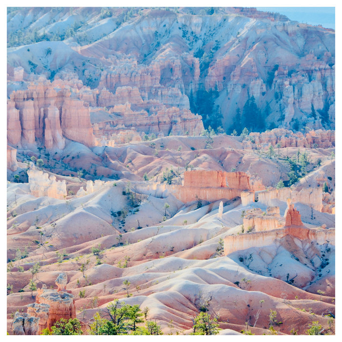 Infinite Hues Between Shade and Light | Vanishing Trace