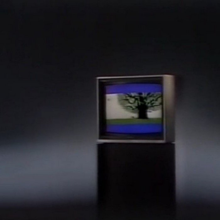 I | video forum | THE EXPANDING EARTH