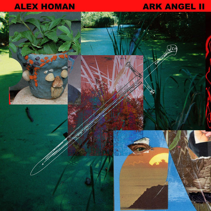 Ark Angel II | Alex Homan