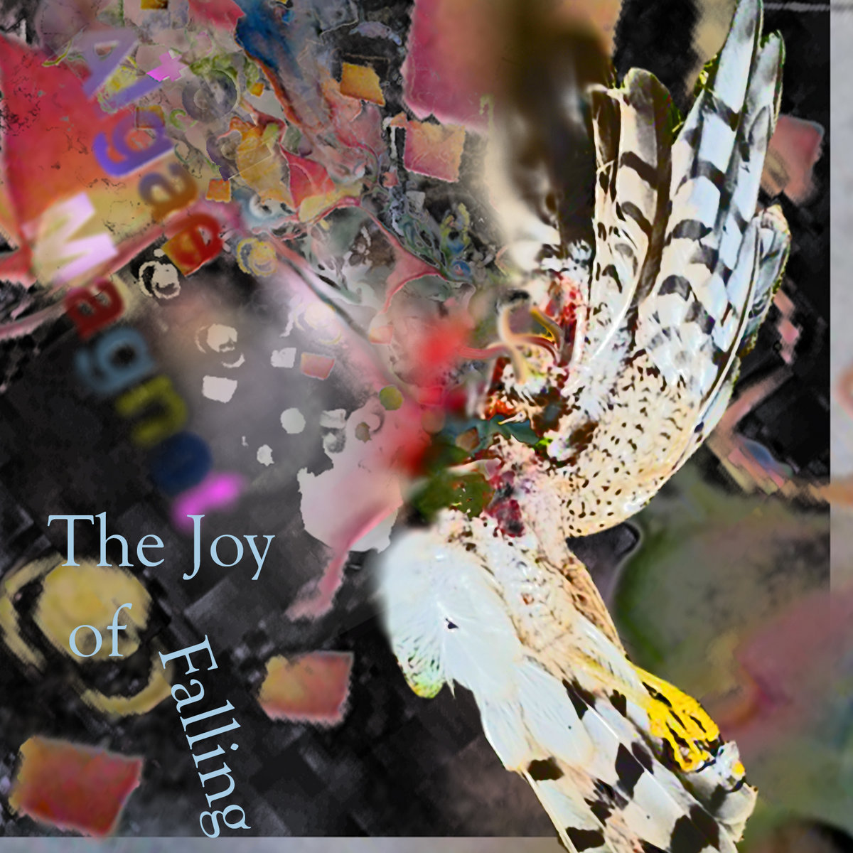 The Joy of Falling | Algae Magnet