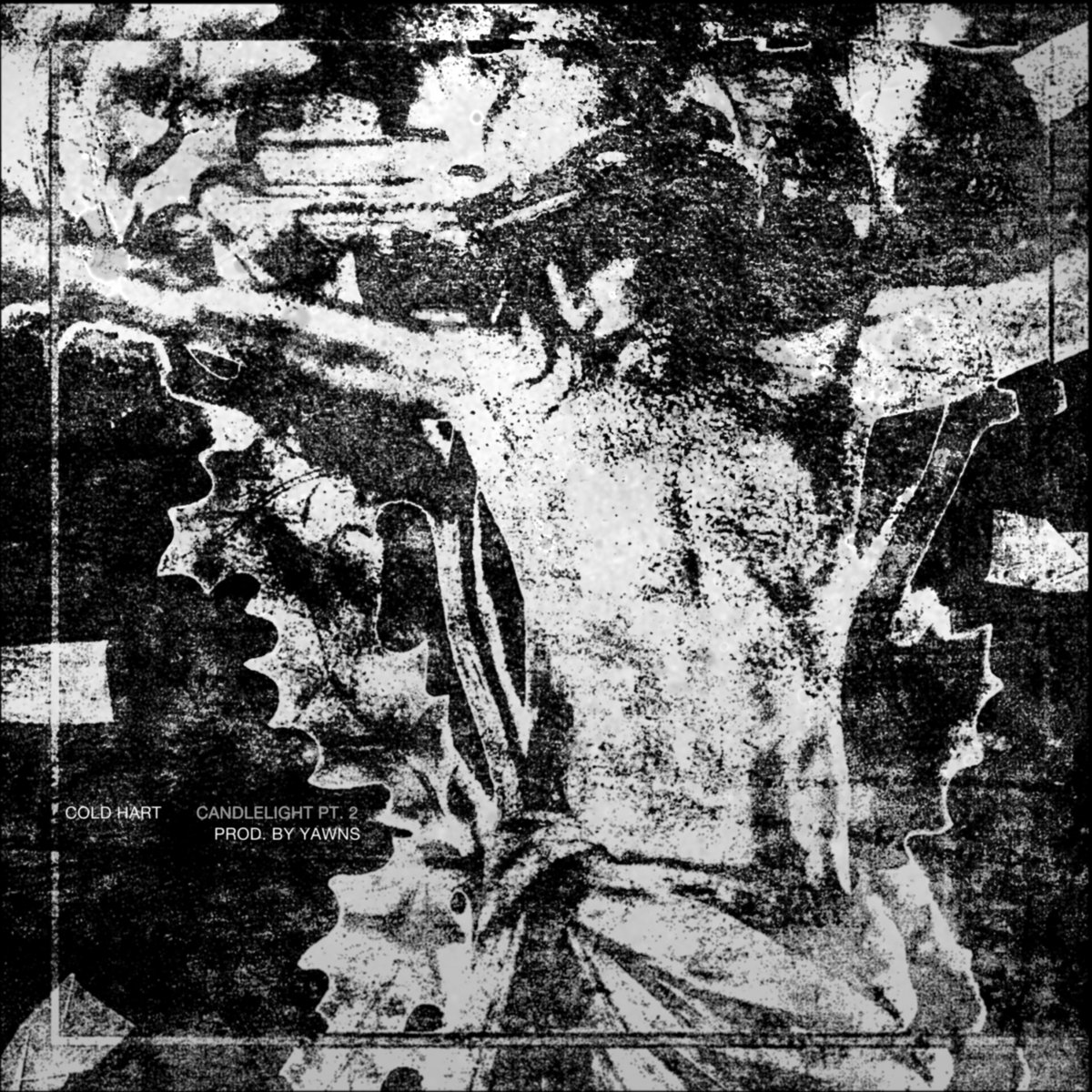 Candlelight Pt. 2 | cold hart