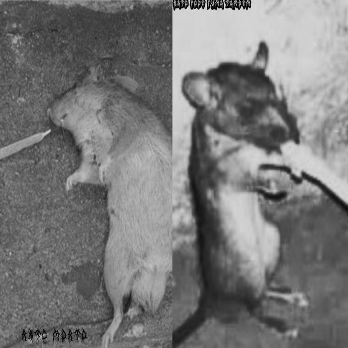 Rato Morto | Radiation Noise