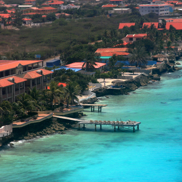 Living Is So Hard | Vaginia Ludwigia