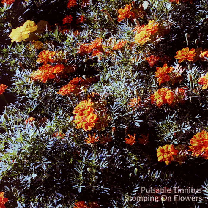 Stomping On Flowers EP | PULSATILE TINNITUS