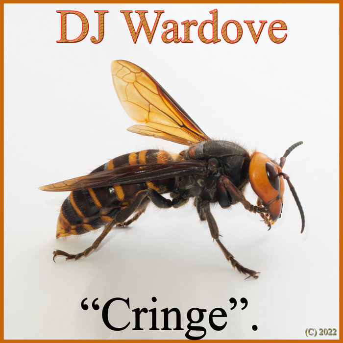 "Cringe". | DJ Wardove | Wardove