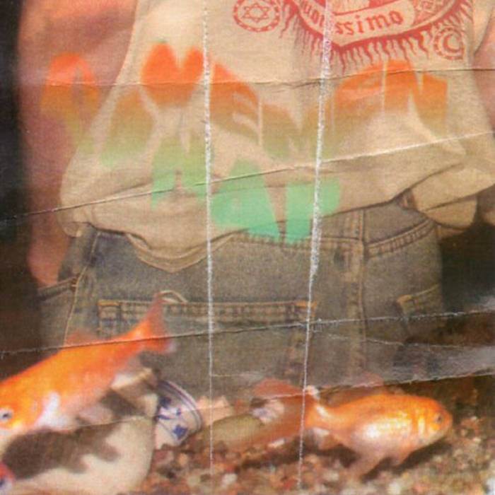 Do Goldfish Fart