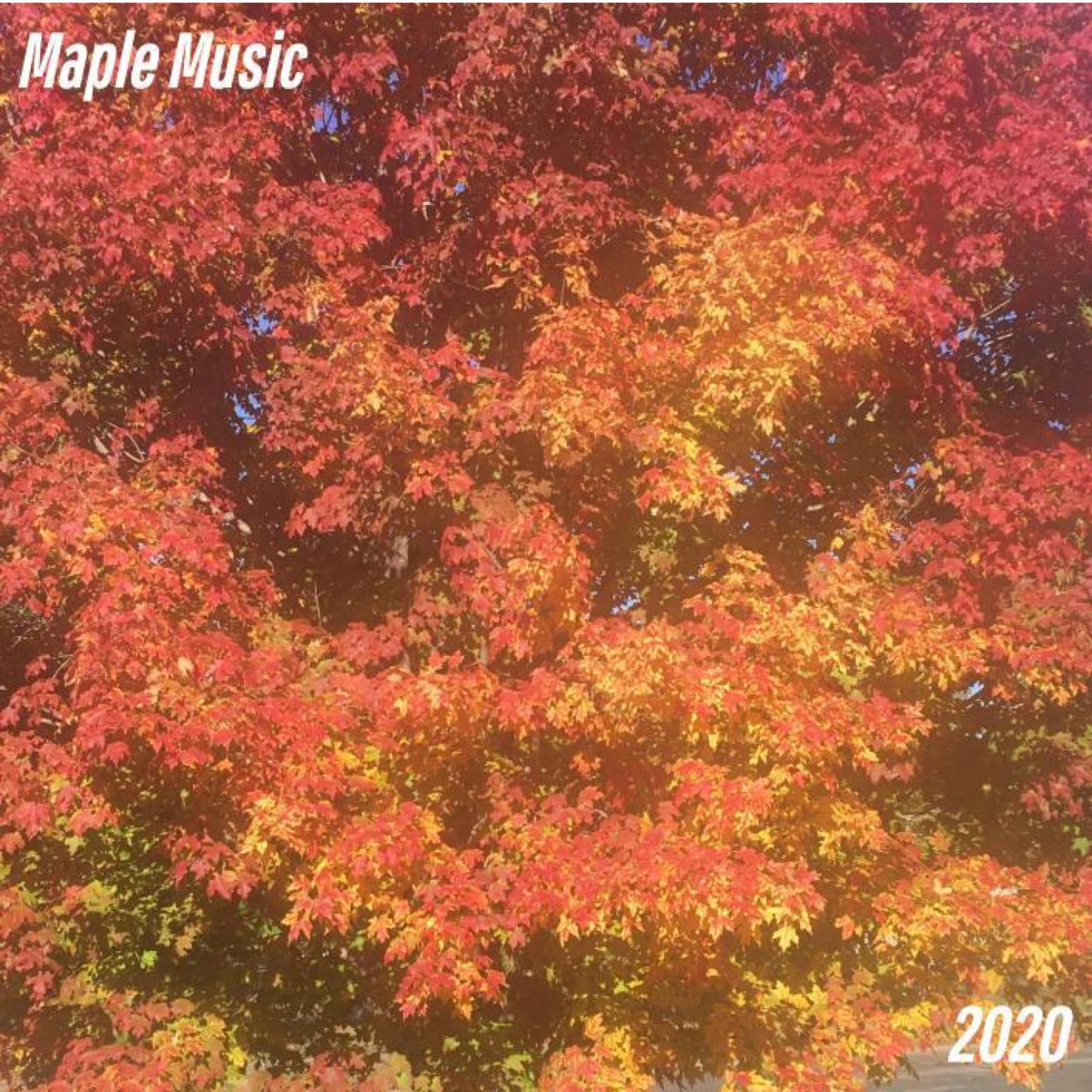 Maple Music | HistoryGuy222