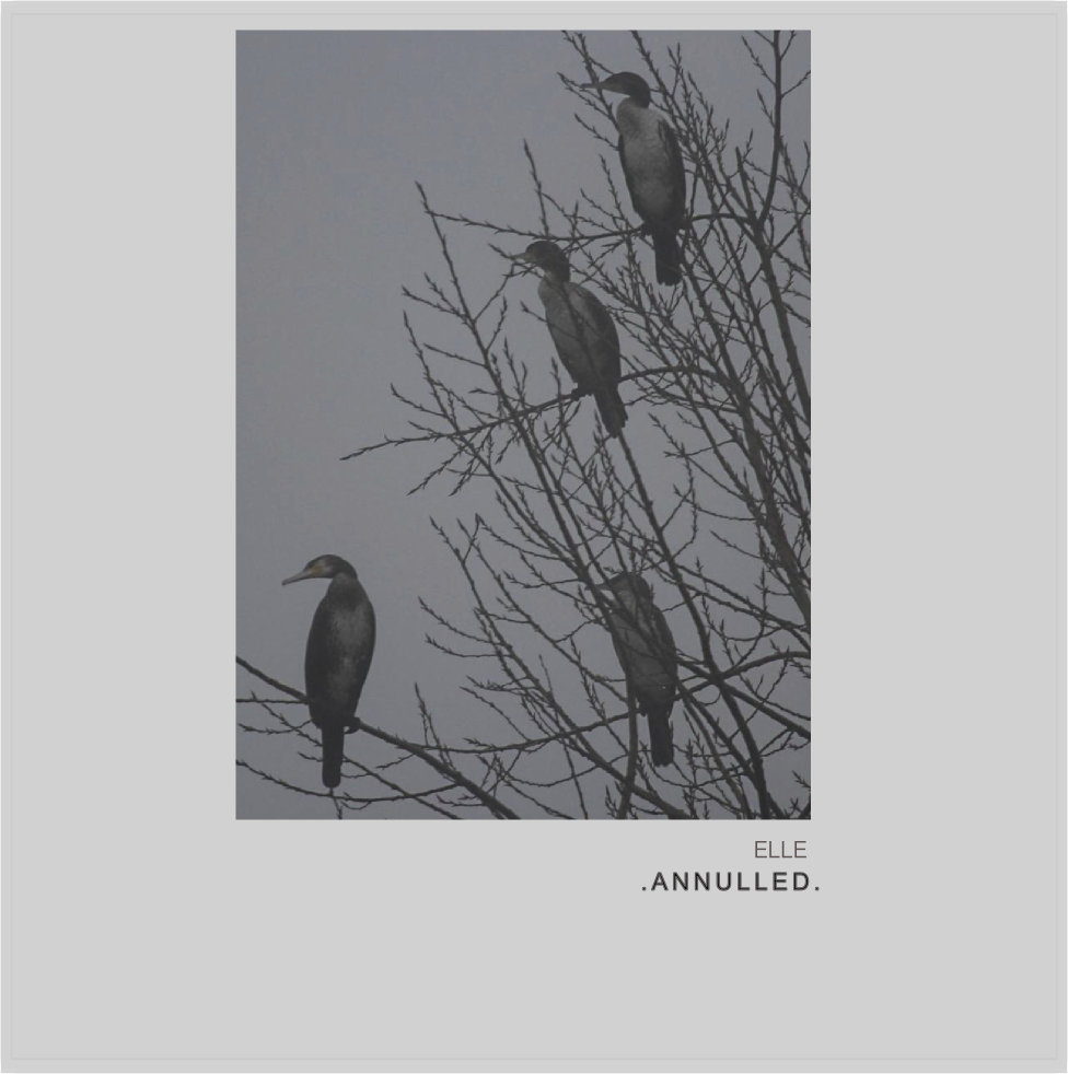 Yemaja Elle Annulled Music