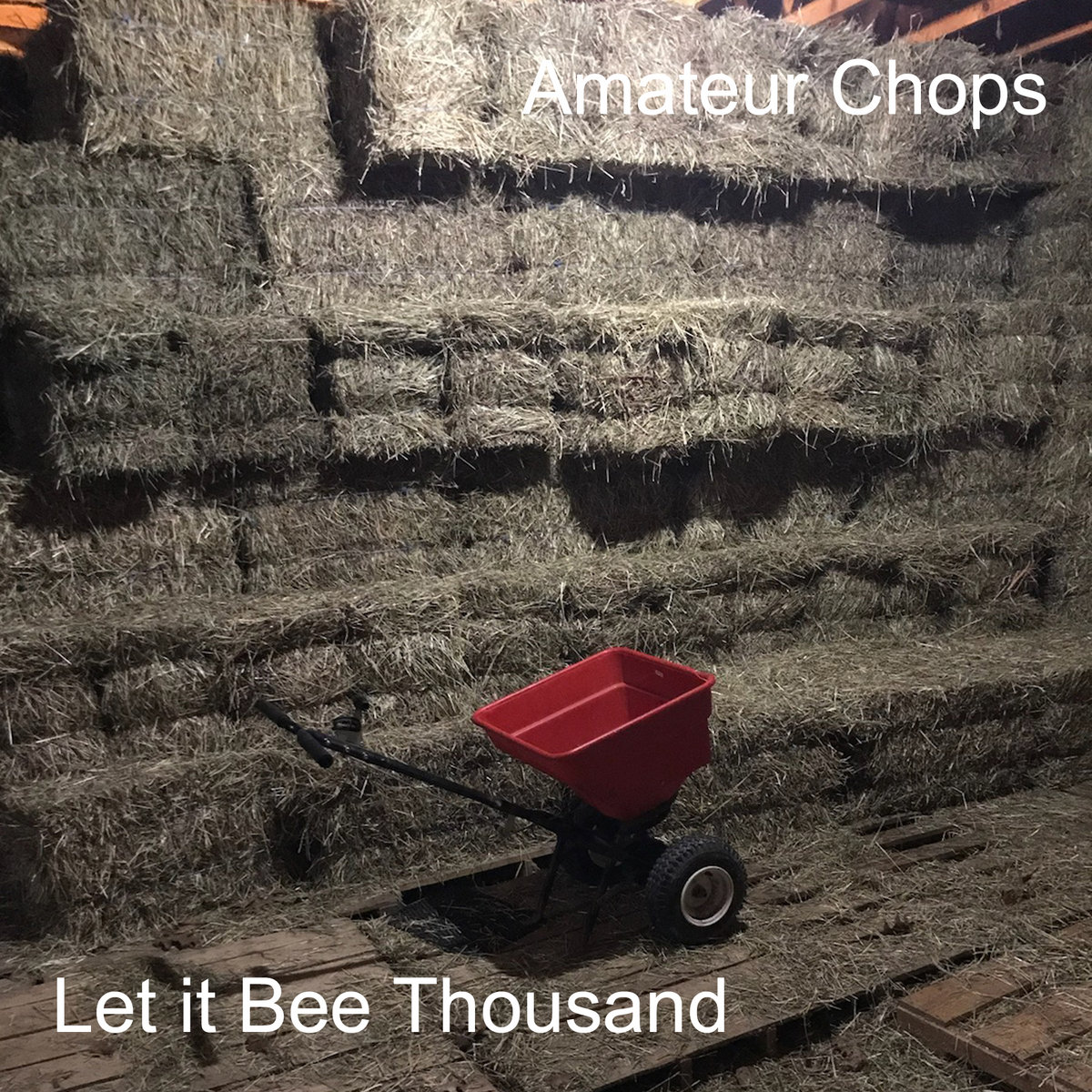 Let it Bee Thousand | Amateur Chops