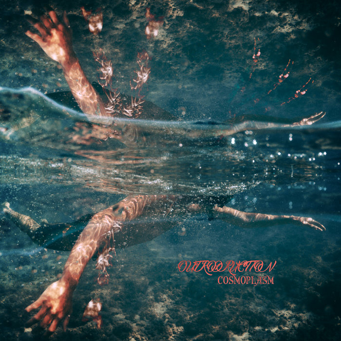 Outroduction | Myrrhtagh