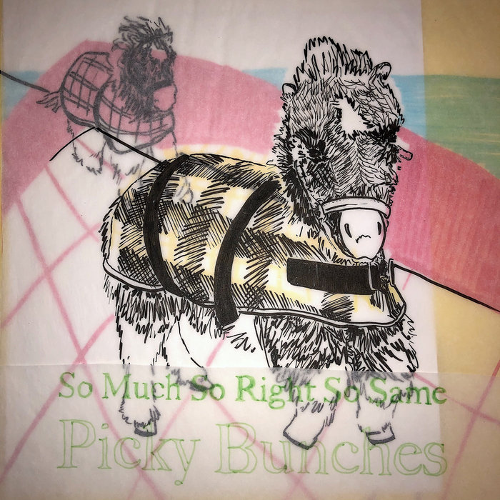 So much So right So same | Picky Bunches