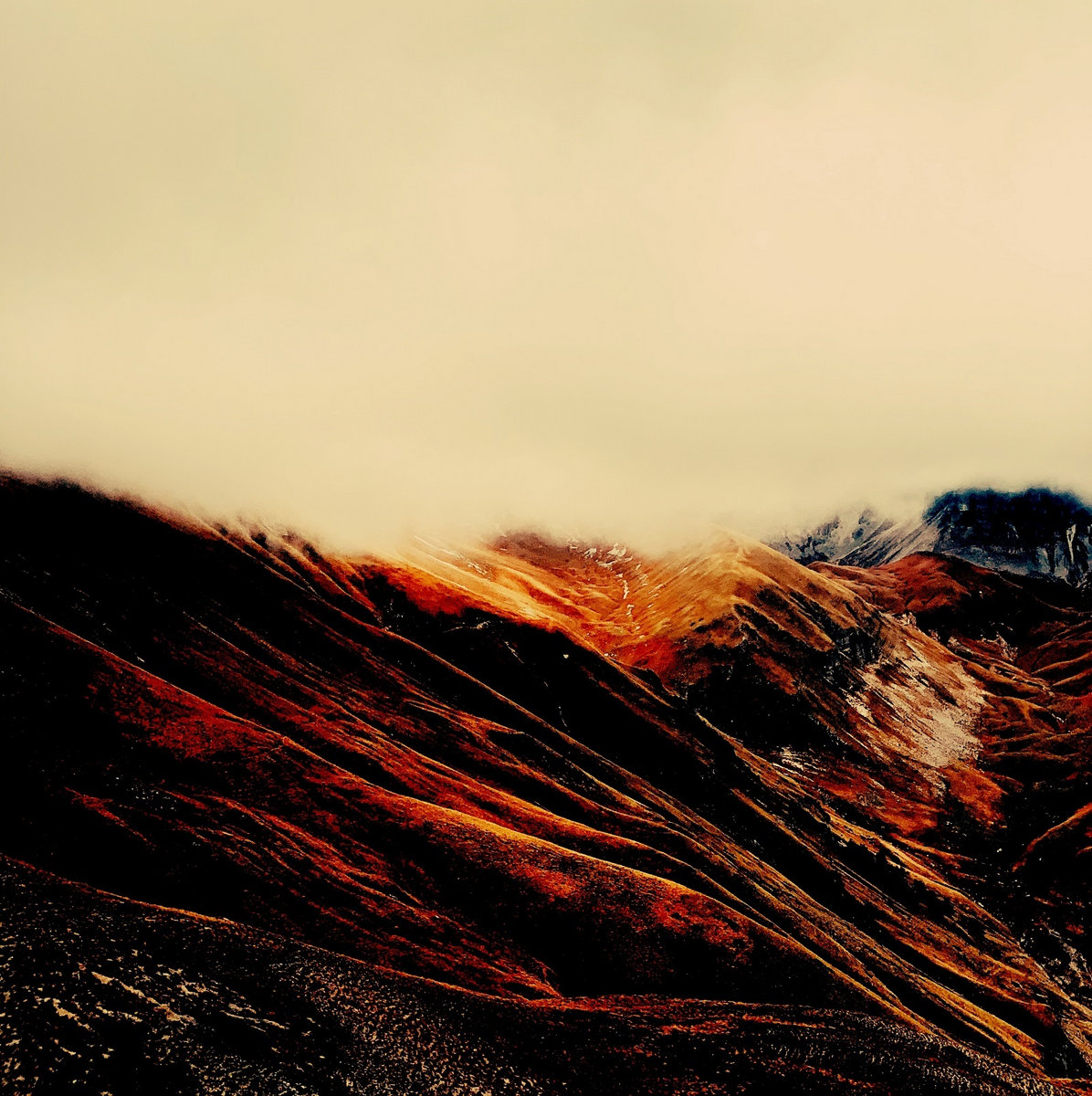 Four Forgetting | bvdub | Brock Van Wey