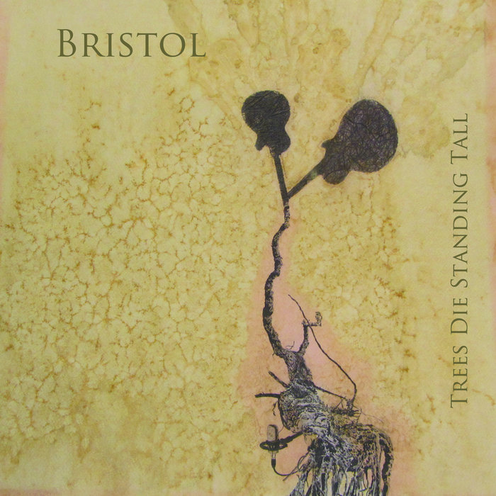Trees Die Standing Tall | Bristol