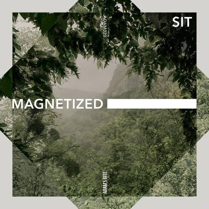 Magnetized EP | SIT | Adam's Bite