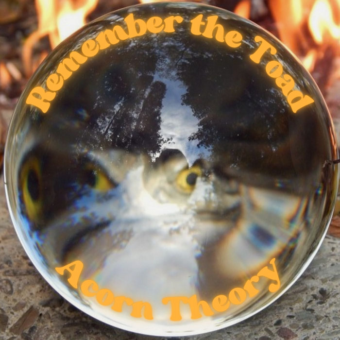 Remember the Toad | Acorn Theory