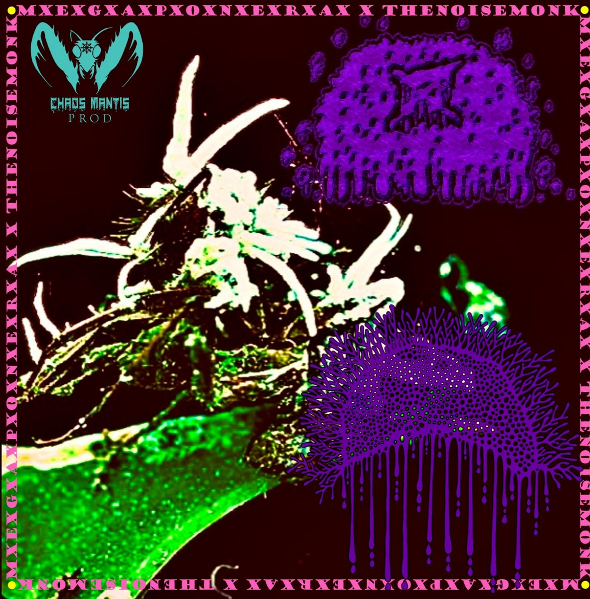 Split W/ MxExGxAxPxOxNxExRxA | The Noise Monk