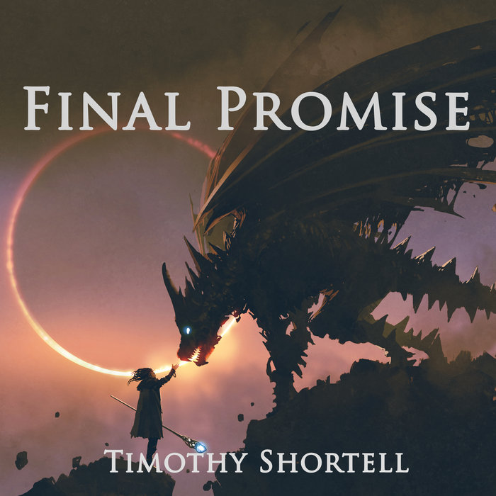 Final Promise | Timothy Shortell
