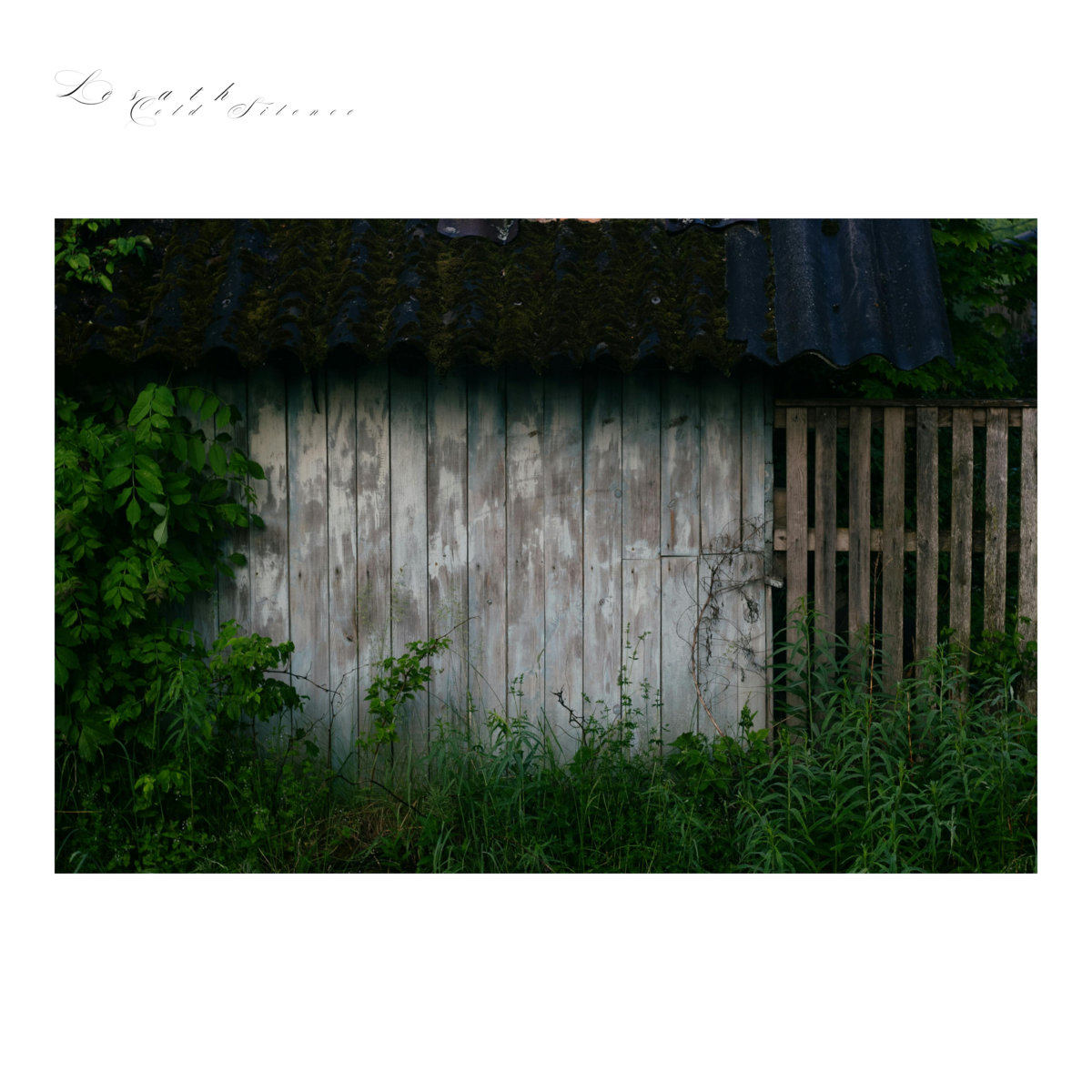 Cold Silence | Lesath