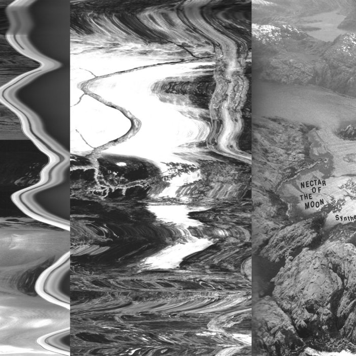 Synthetic Perceptions // Neural Oscillations | Nectar of the Moon | S.I ...