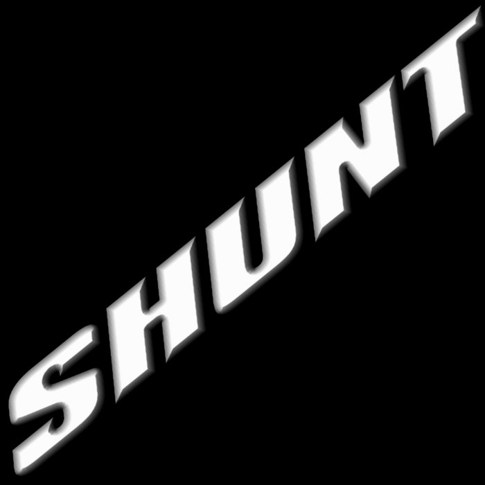 A Little Piece of Shunt | SHUNT