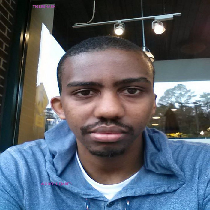 wildfire ember | tigershark