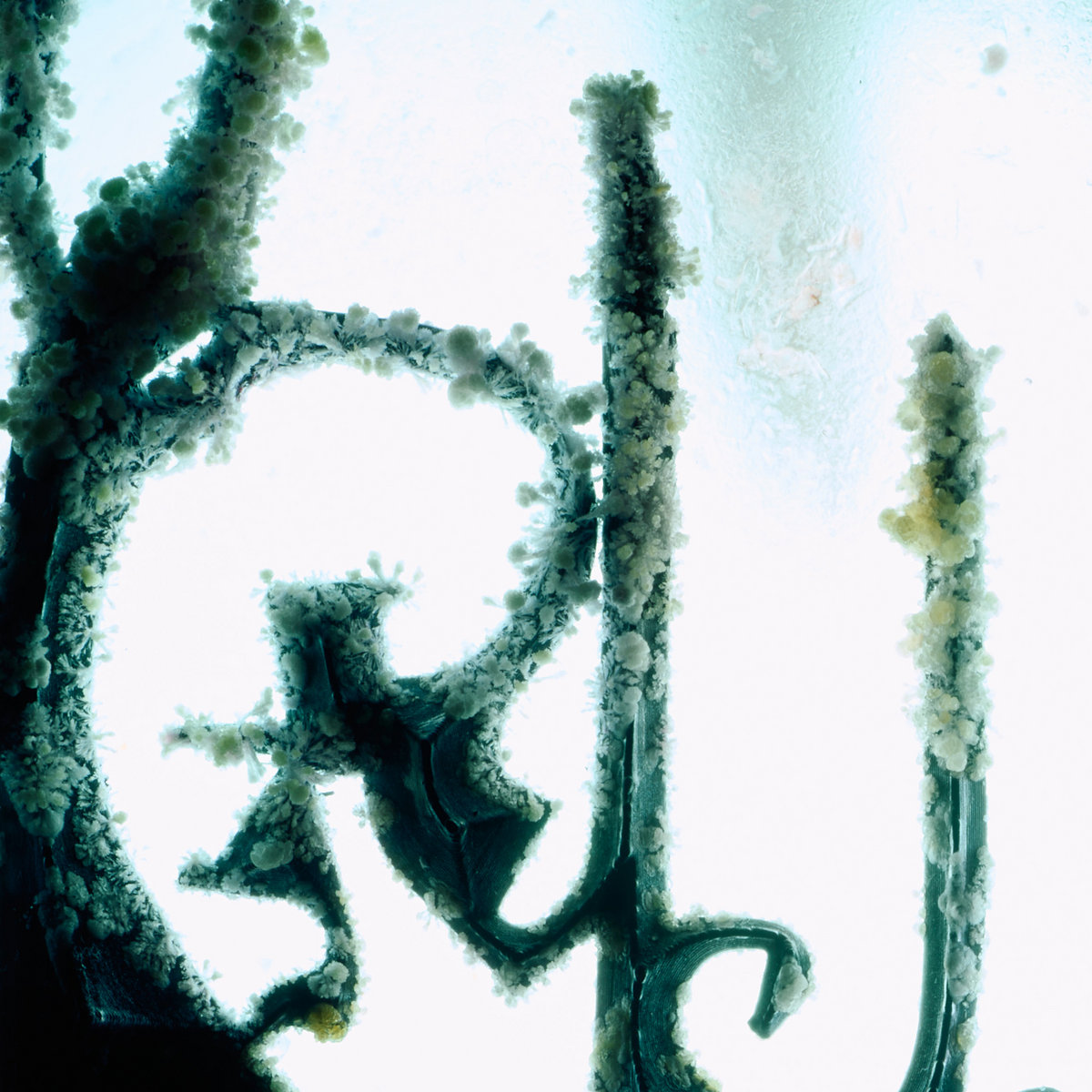 Cinderella (Olof Dreijer Remix) | Model/Actriz