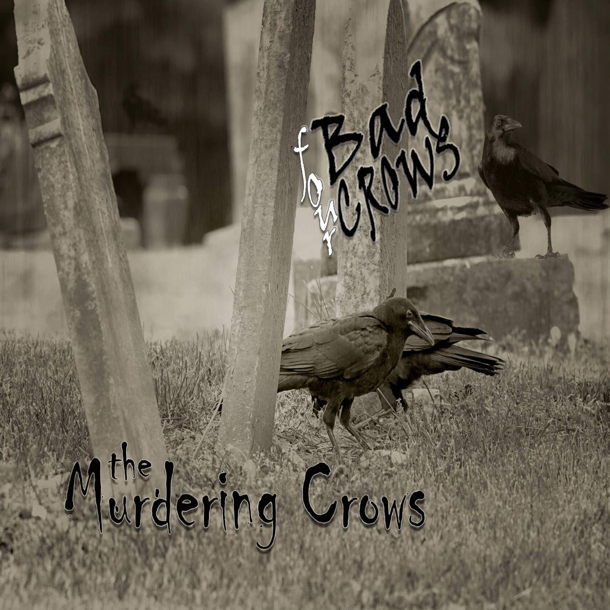 Four Bad Crows | the Murdering Crows
