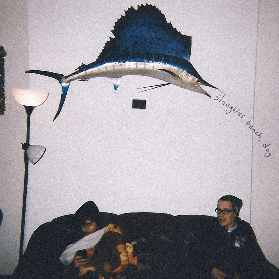 DAWG | Slaughter Beach, Dog