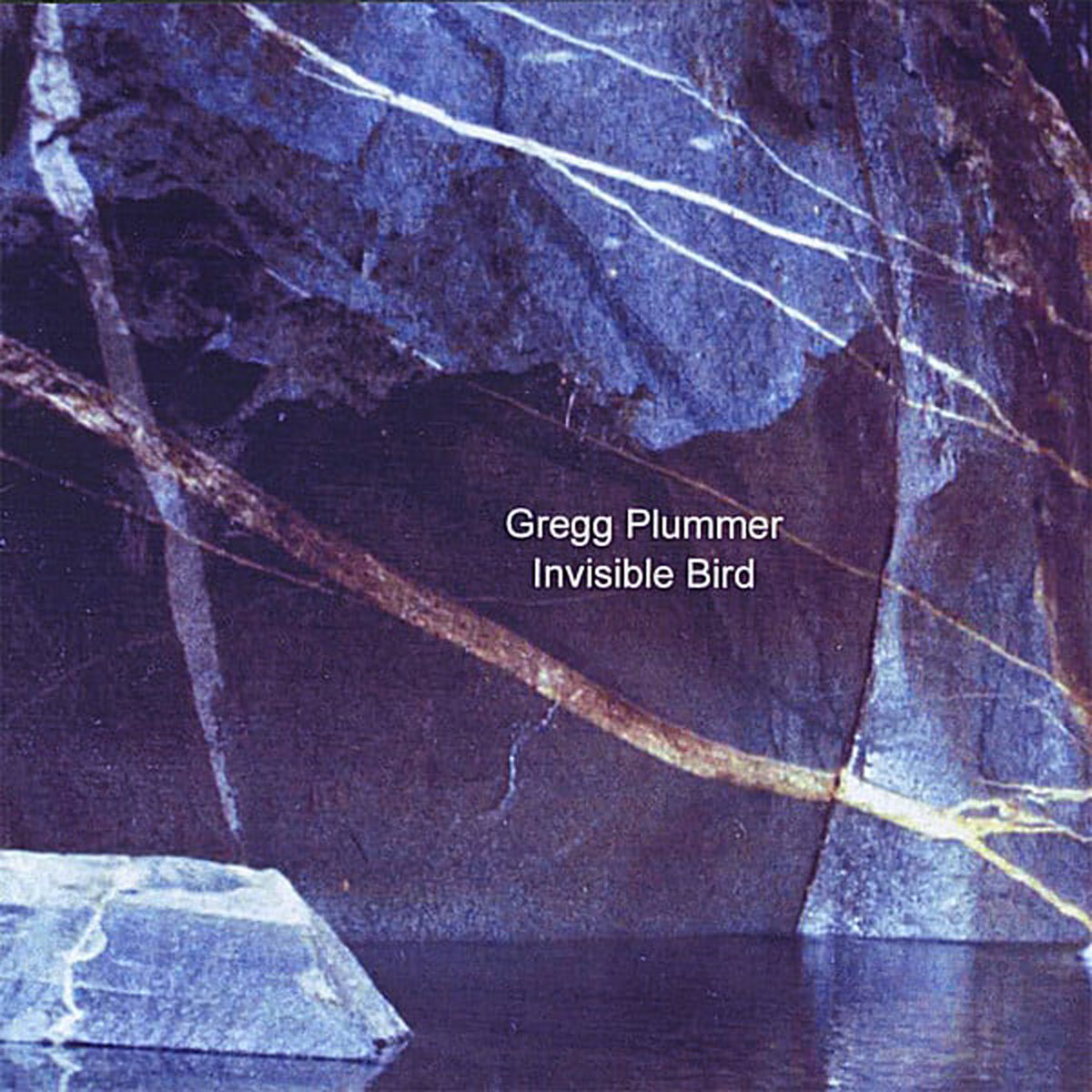 Invisible Bird | Gregg Plummer