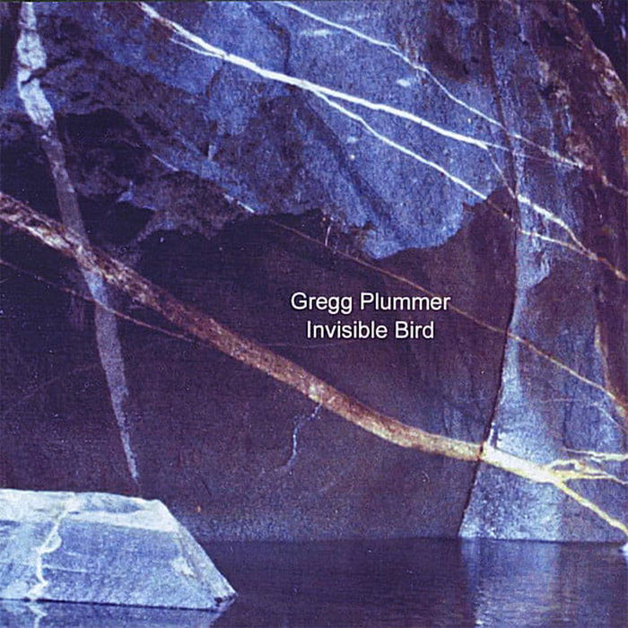 Invisible Bird | Gregg Plummer