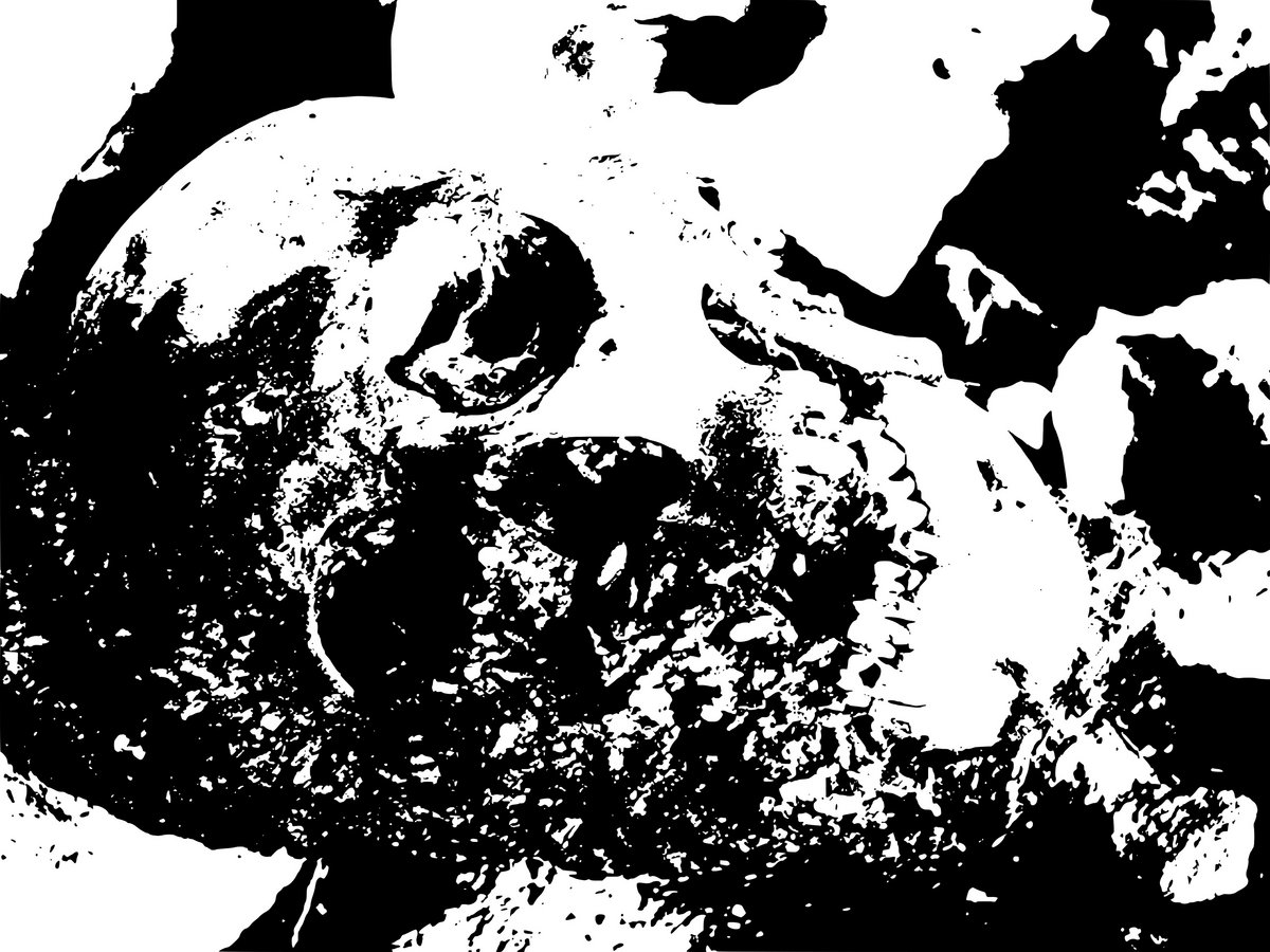 Maggot Therapy | Lord Apokryphontas with Neuronecrosis | Lord Apokryphontas