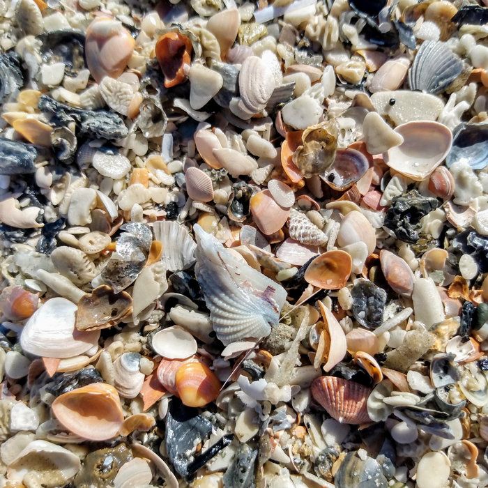 EP II | Megan Cronin Tucker