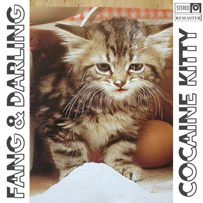 Cocaine Kitty | Fang and Darling