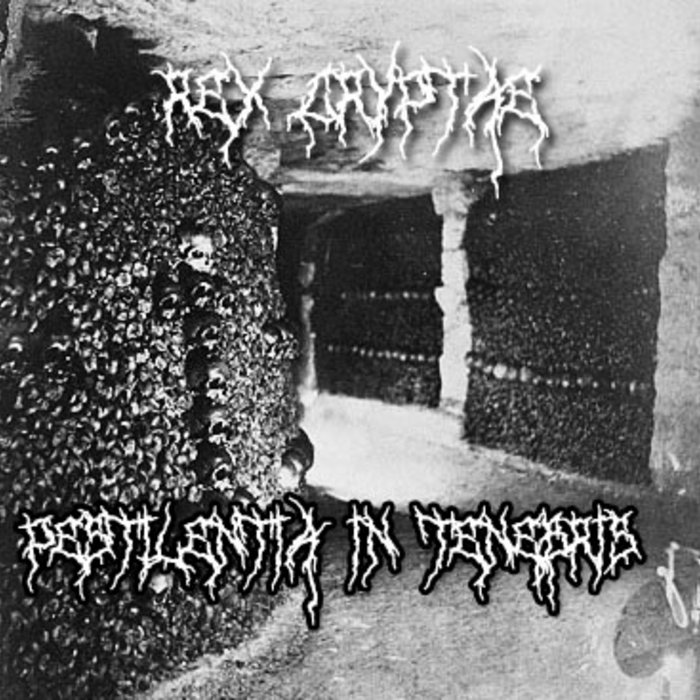 Pestilentia in tenebris | Rex cryptae
