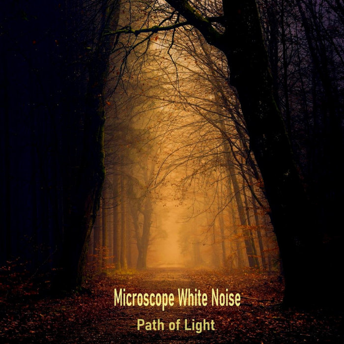 Path of Light | Microscope White Noise